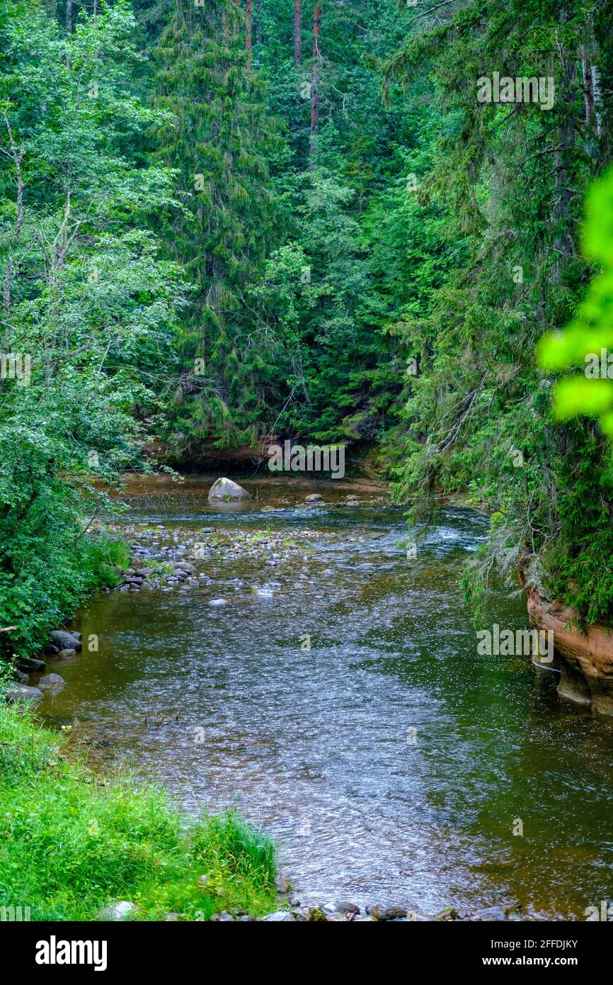 small country river stream in summer green forest with rocks and low ...