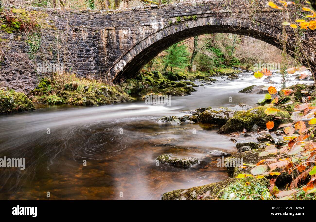 Coed y Brenin Stock Photo - Alamy
