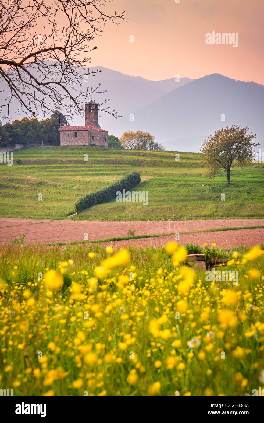 Landscape at spring with yellow flowers and a little old church ...