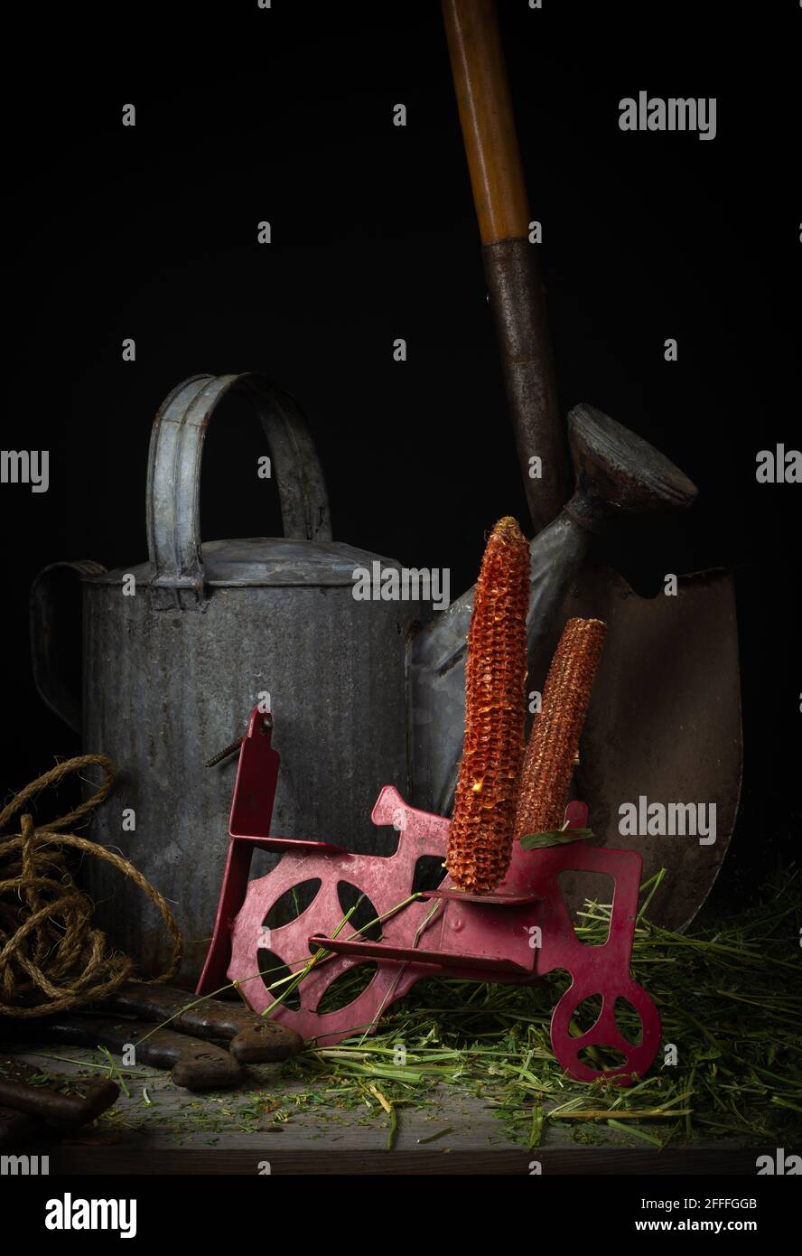 Rusted and worn farm items on hay covered wood floor Stock Photo - Alamy