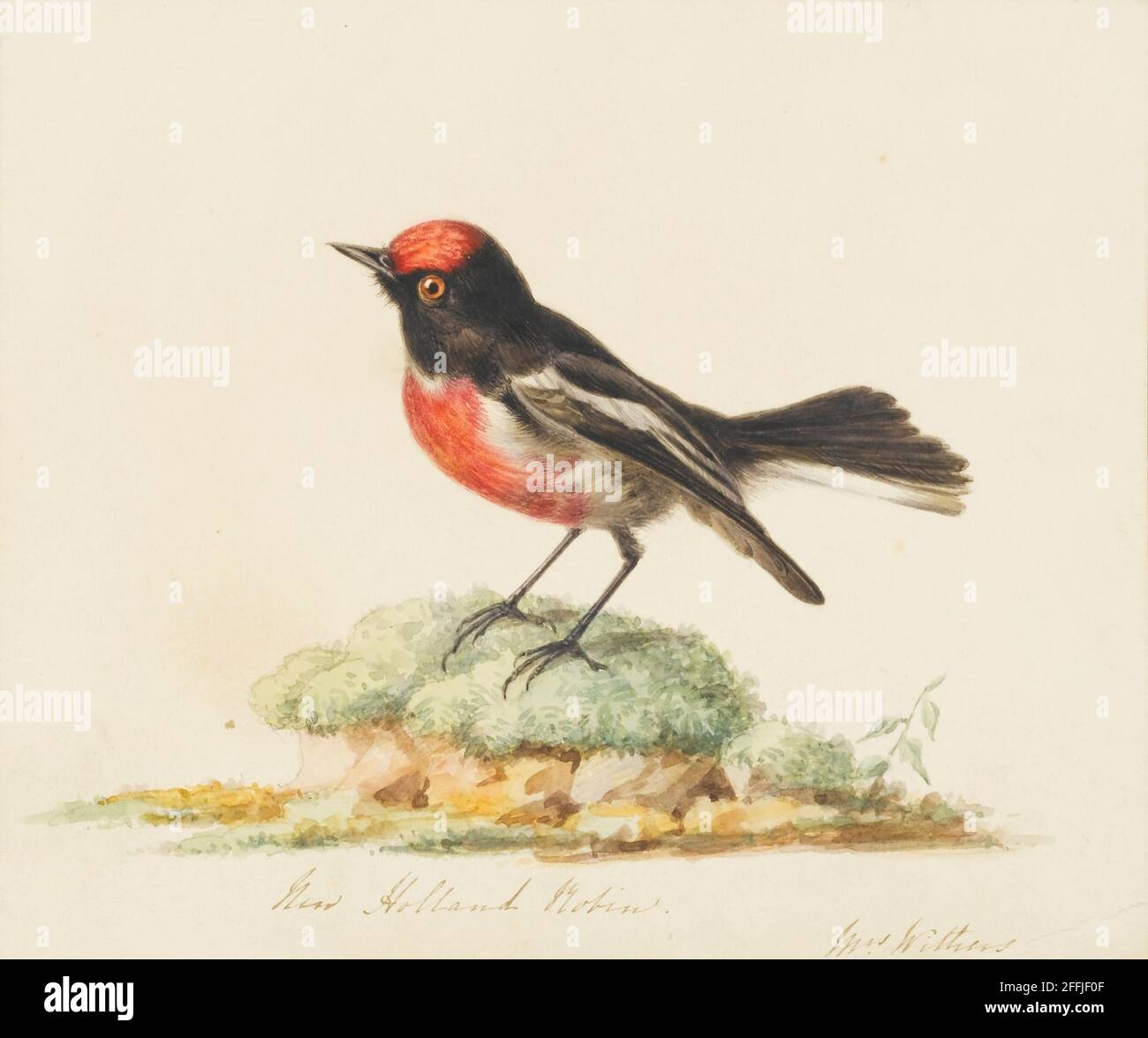 Wither's study hi-res stock photography and images - Alamy