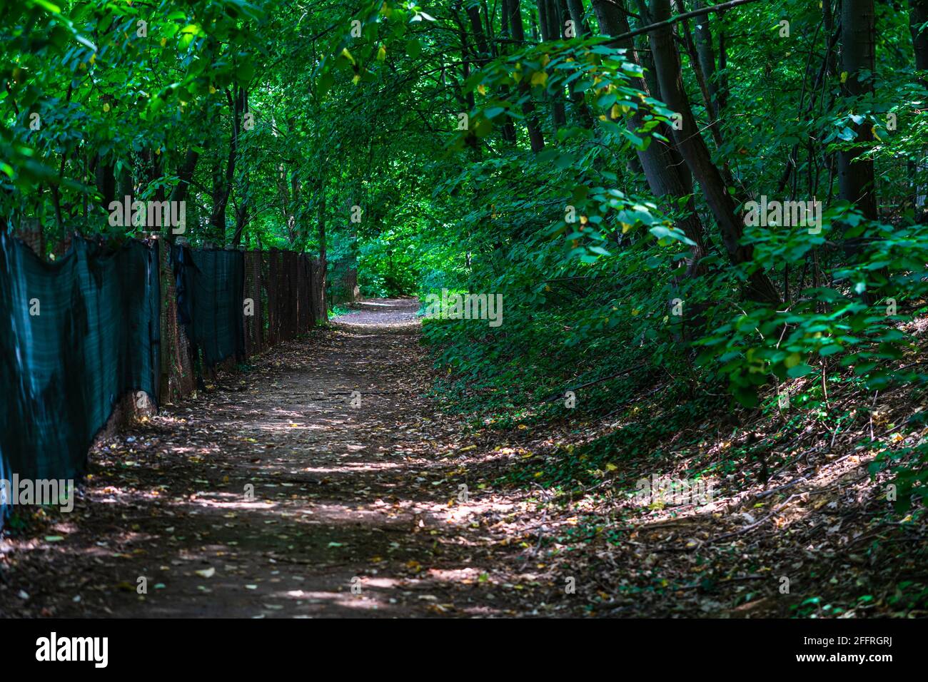 Unpaved alley hi-res stock photography and images - Alamy
