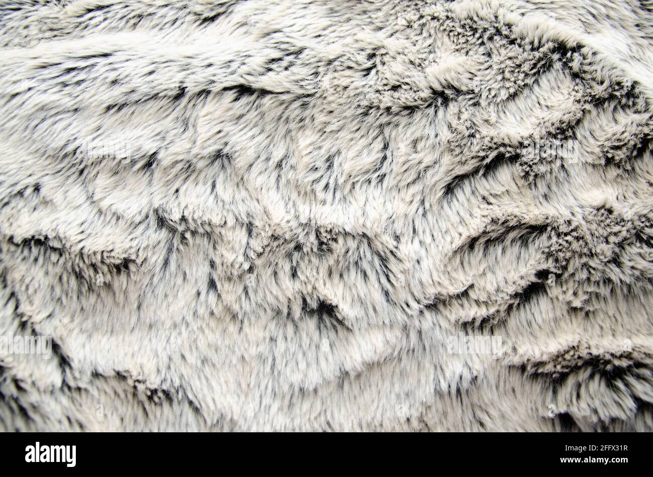 White & Black Abstract Fur Pattern Surface Stock Photo - Alamy