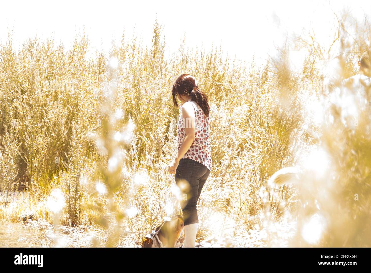 See through blouse hi-res stock photography and images - Alamy