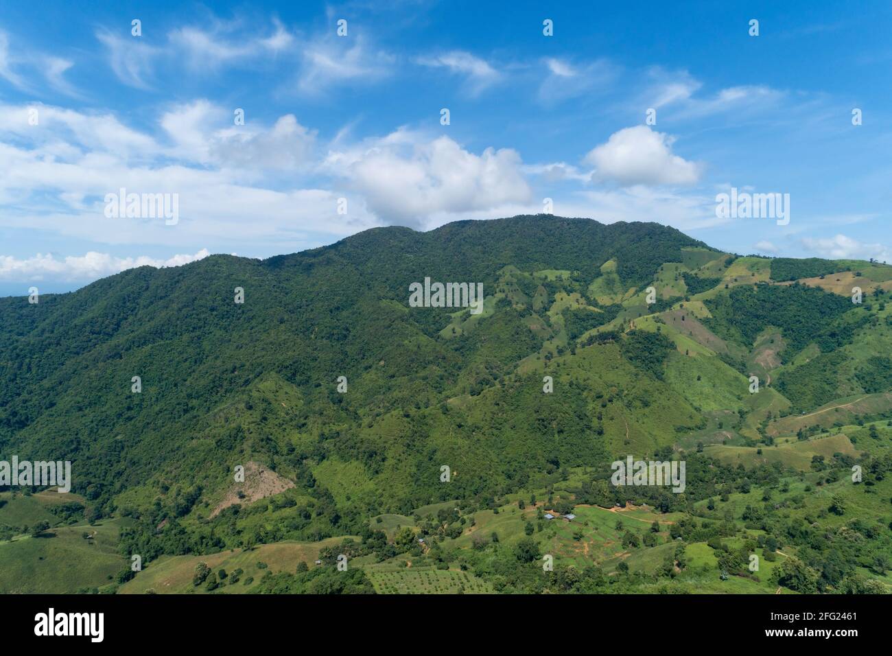 Aerial top down mountain Texture of nature forest scenery view ...