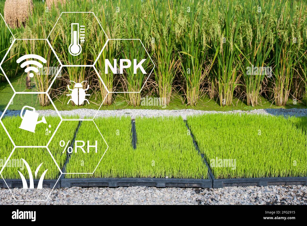 Agriculture water sensor hi-res stock photography and images - Alamy