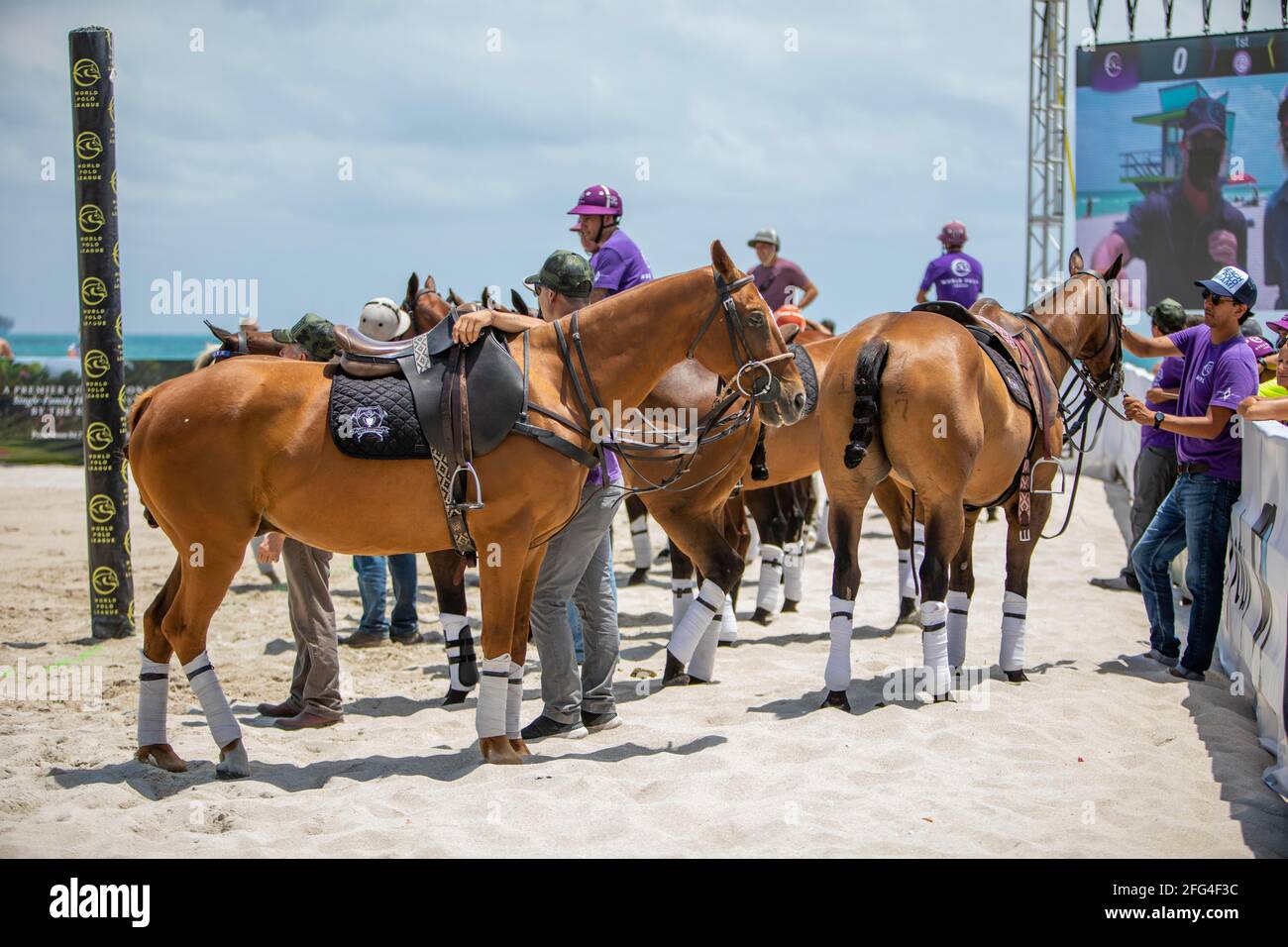 Polo players play at the World Polo League Beach Polo in Miami Beach ...