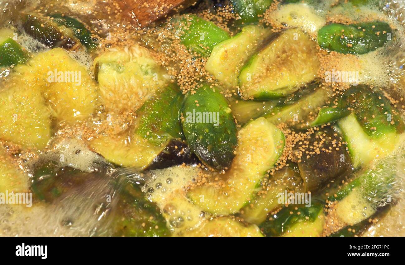 Figs tree in pot hi-res stock photography and images - Alamy