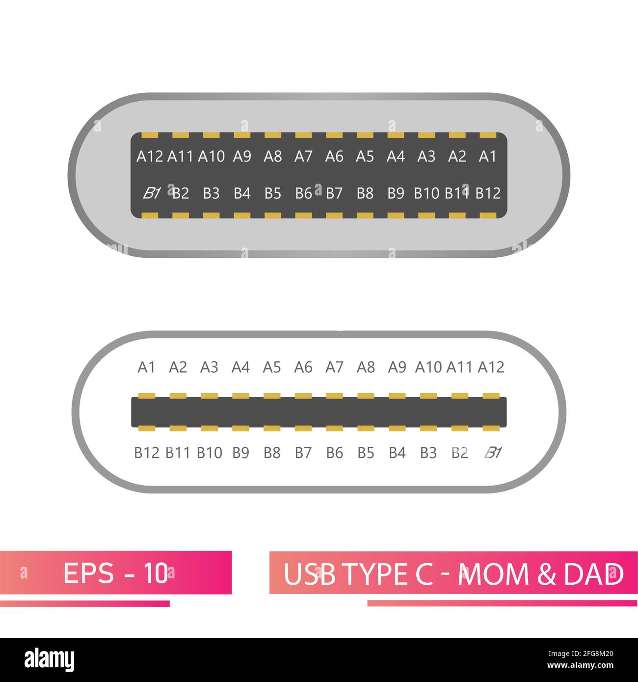 Set, USB type C-front view of the mother and father connector in a ...