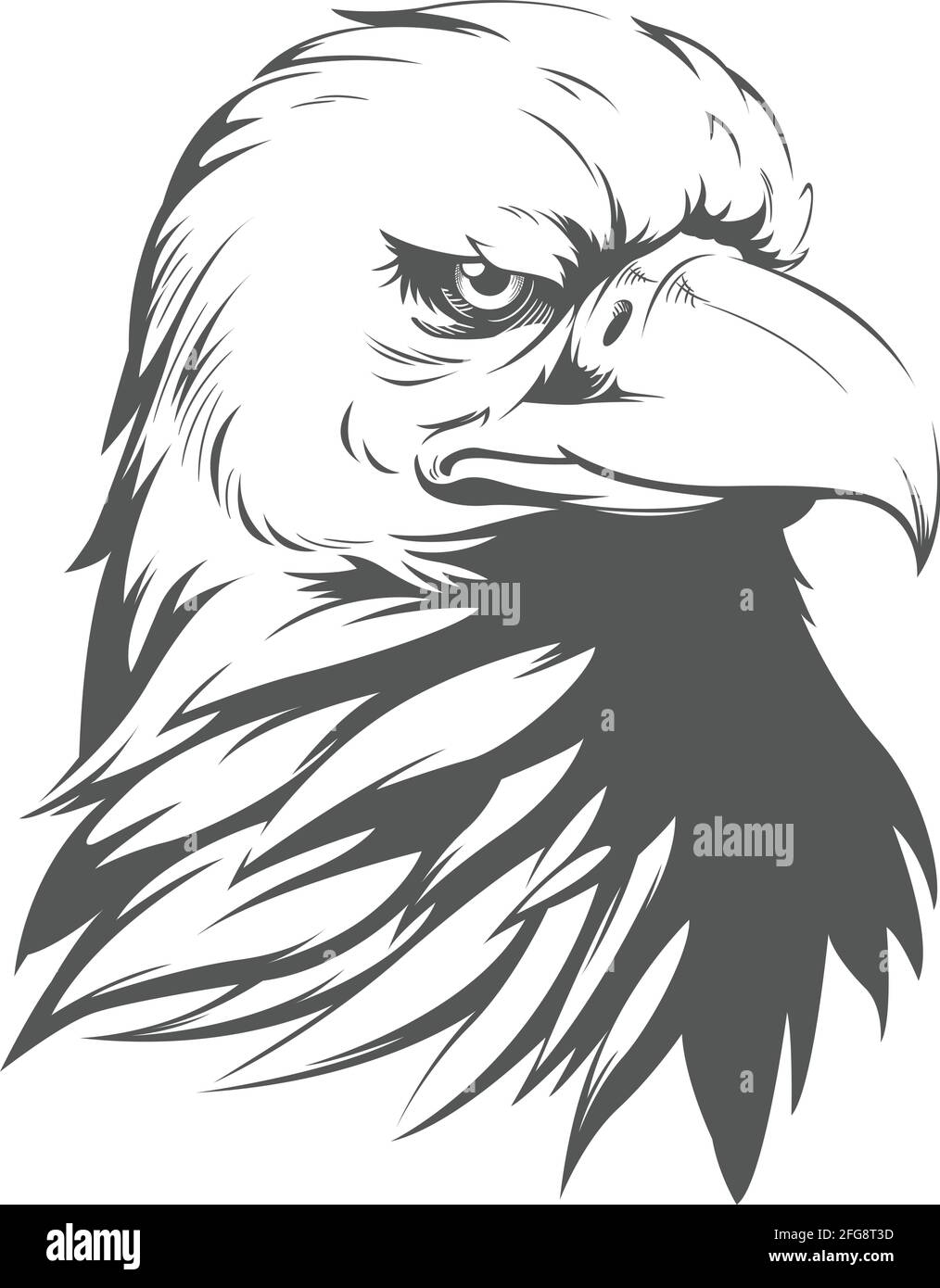 Falcon Head Drawing