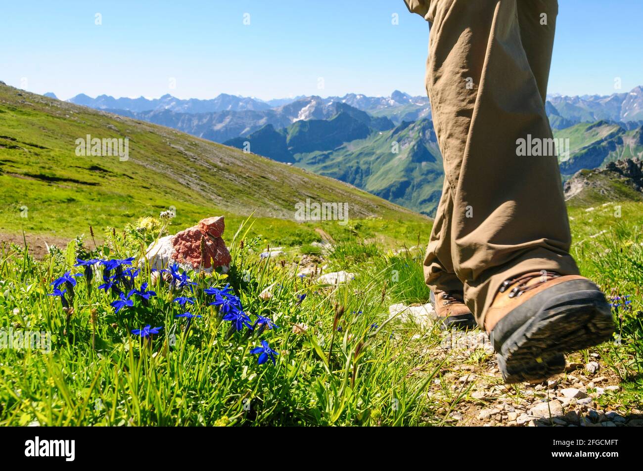 Alpine upward hi-res stock photography and images - Alamy