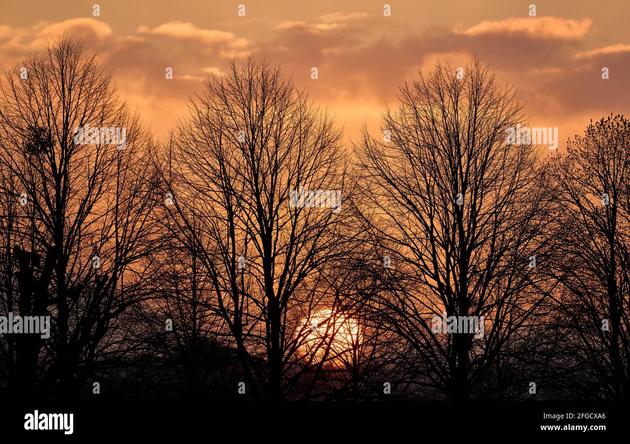 Sunrise in Bushy Park in London. Picture date: Sunday April 25, 2021 ...