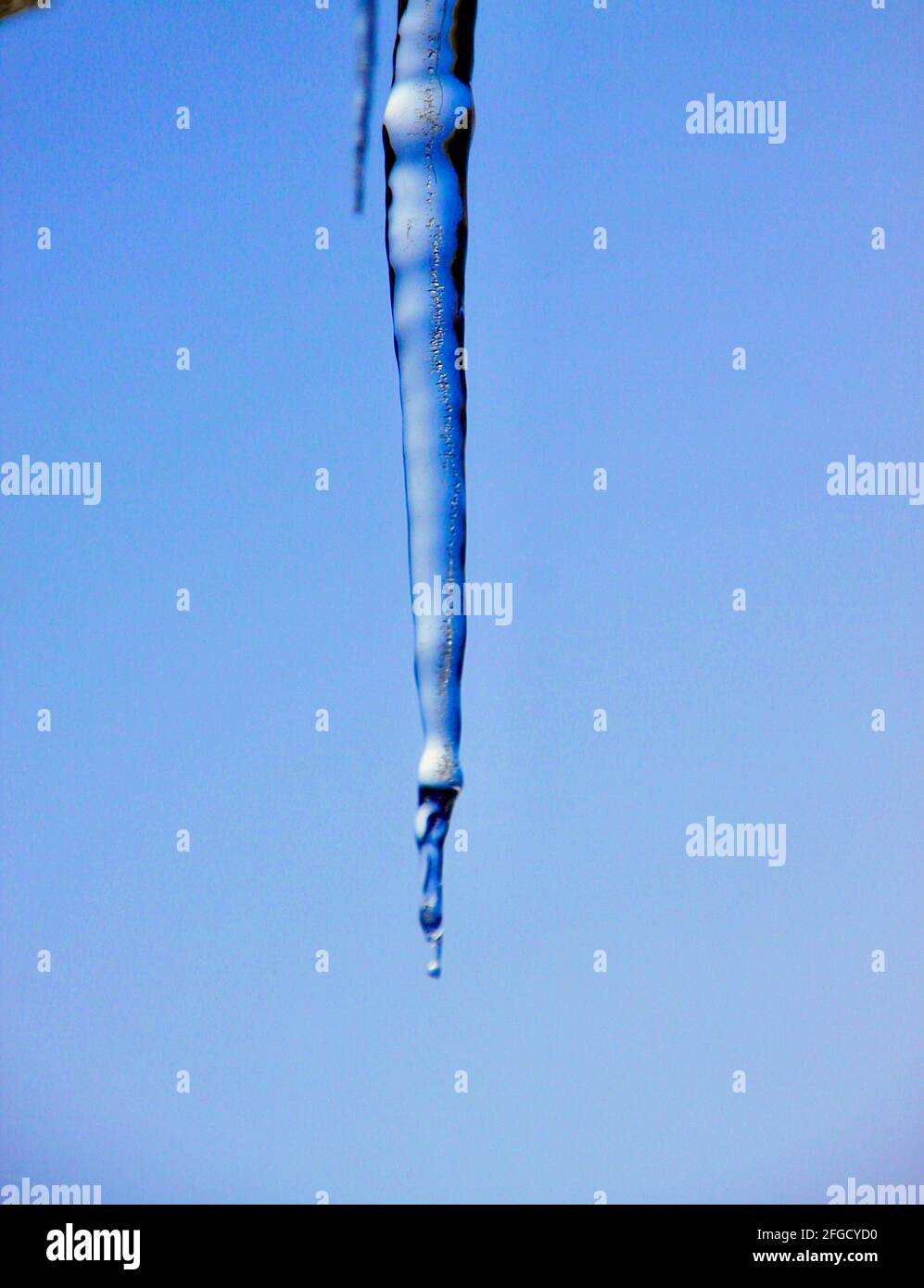 Beautiful icicle against the blue sky in winter Stock Photo - Alamy
