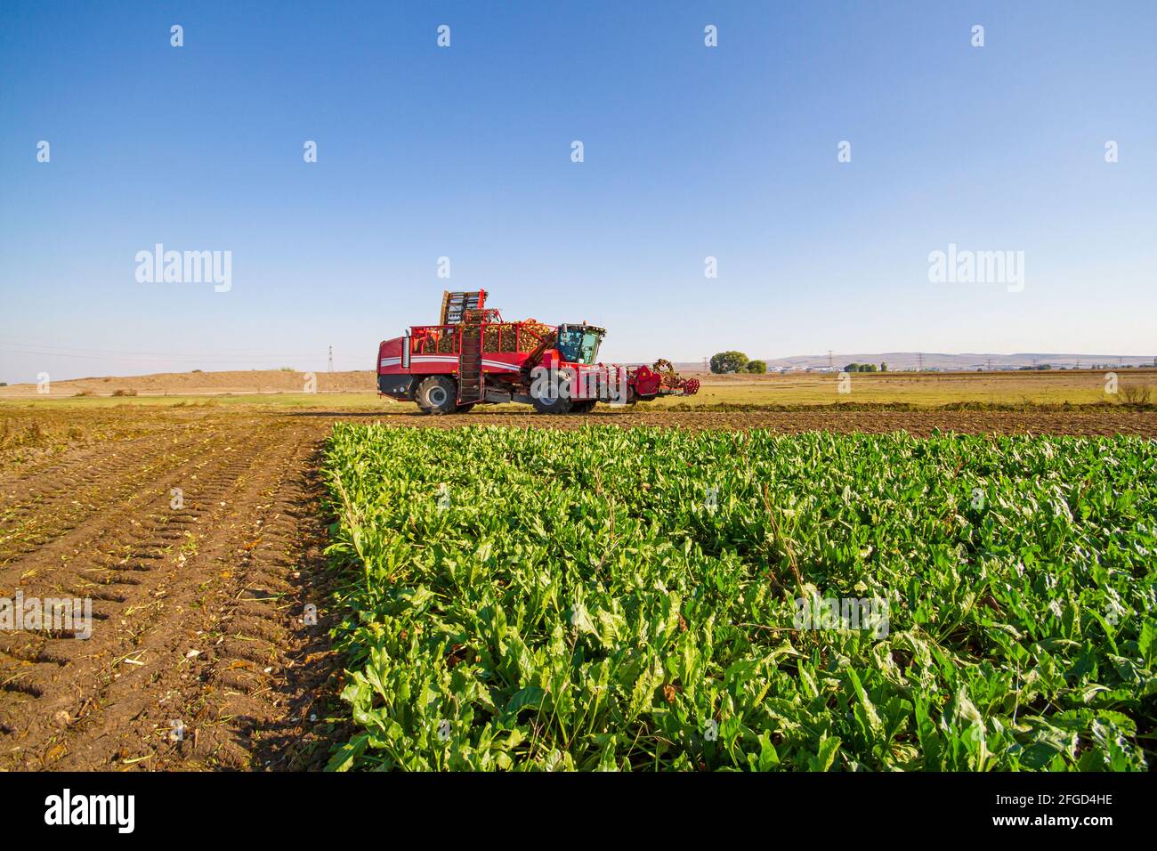 Red combine harvester hi-res stock photography and images - Alamy