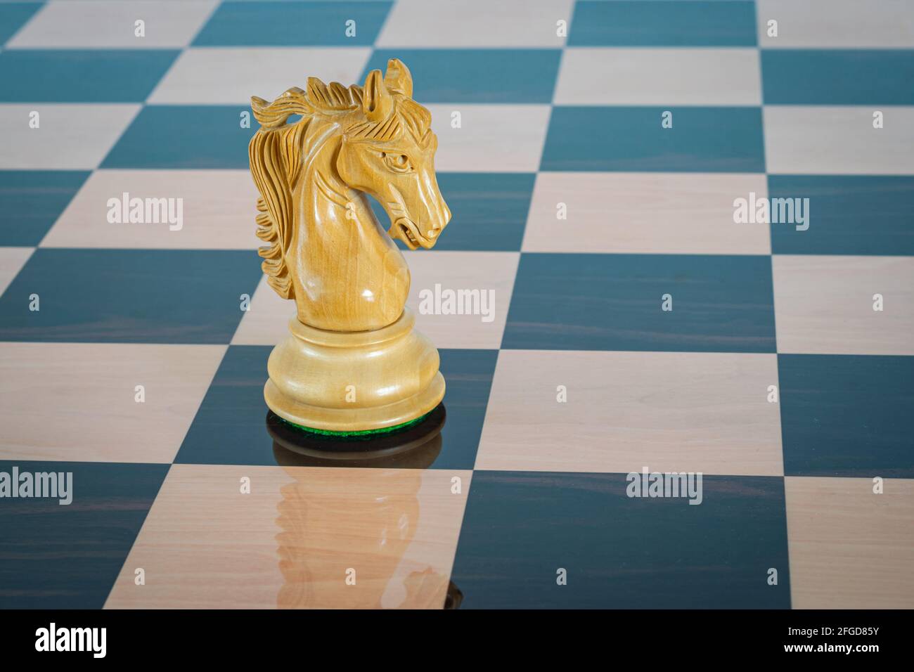 White knight on a chess board Stock Photo - Alamy