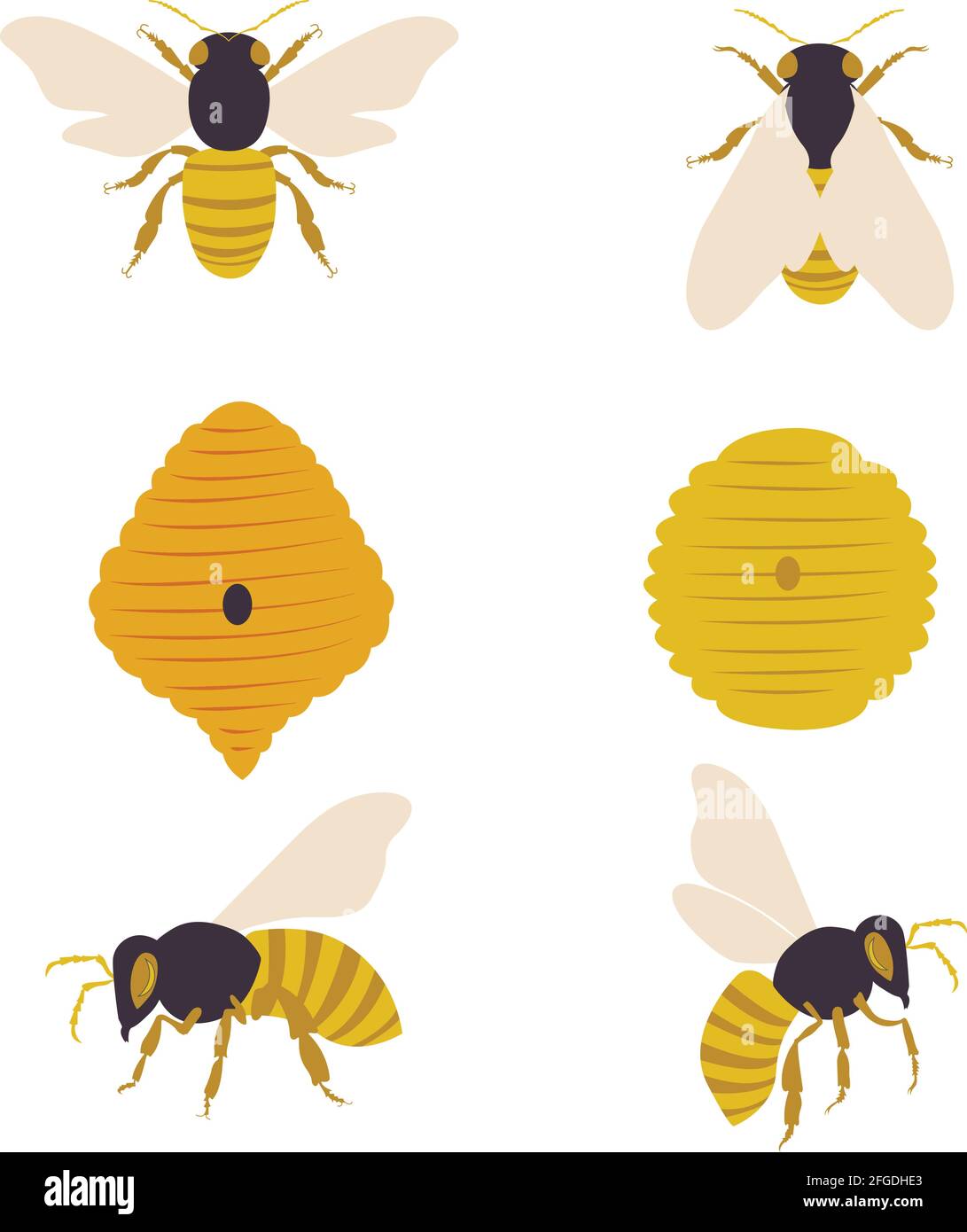Beekeeping design elements collection. Bee Beehive vector illustration ...