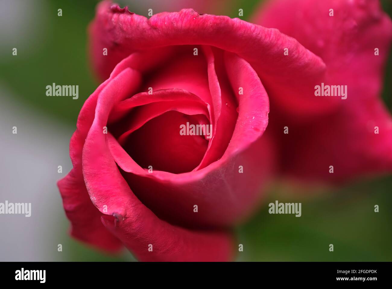 One horizontal hi-res stock photography and images - Alamy