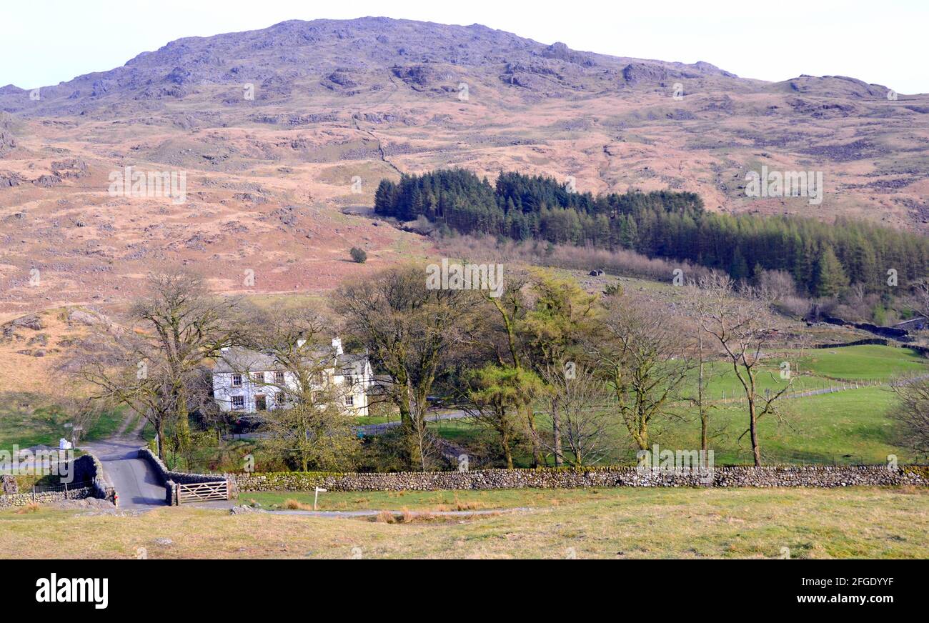 Cockley Beck Farm behind trees at Cockley Beck, Duddon Valley, Cumbria ...