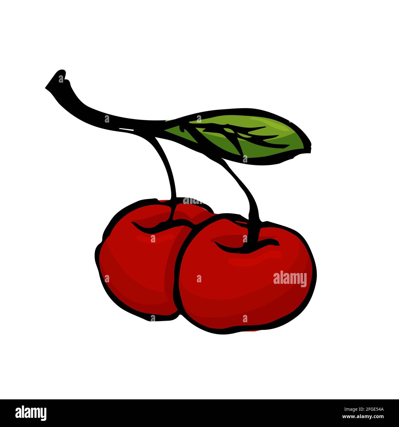 Hand drawn cherry illustration isolated on white background Stock ...