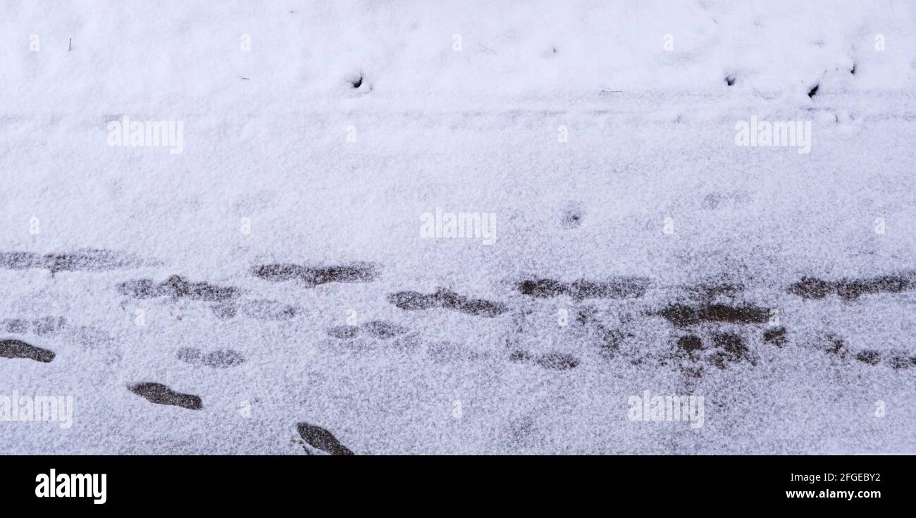 Aerial view of a human footprints in the snow Stock Photo - Alamy