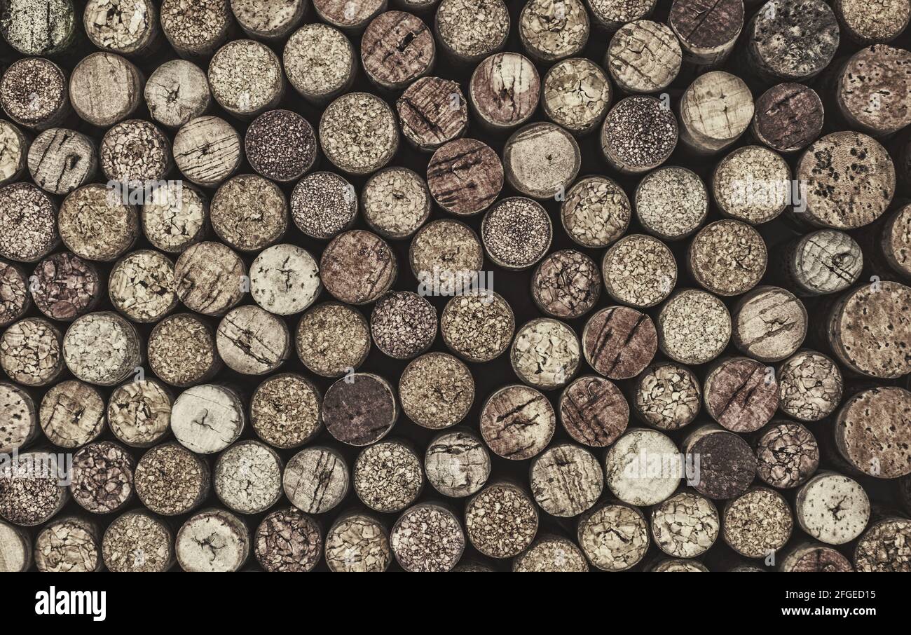 Old Used corks plugs from various types of wine on white background ...