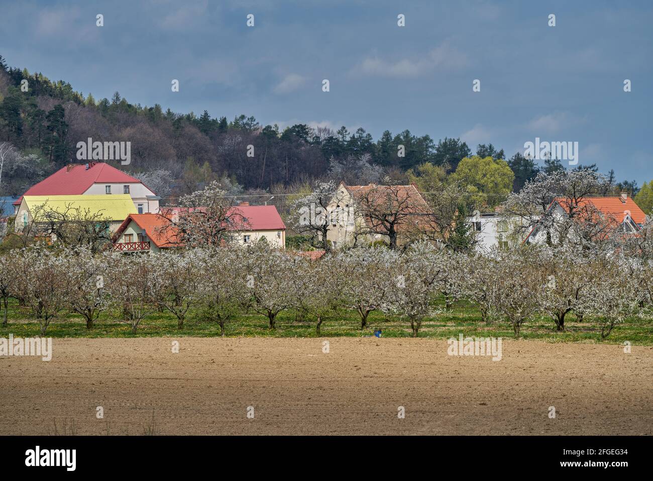 Spring rural landscape Lower Silesia Poland Stock Photo - Alamy