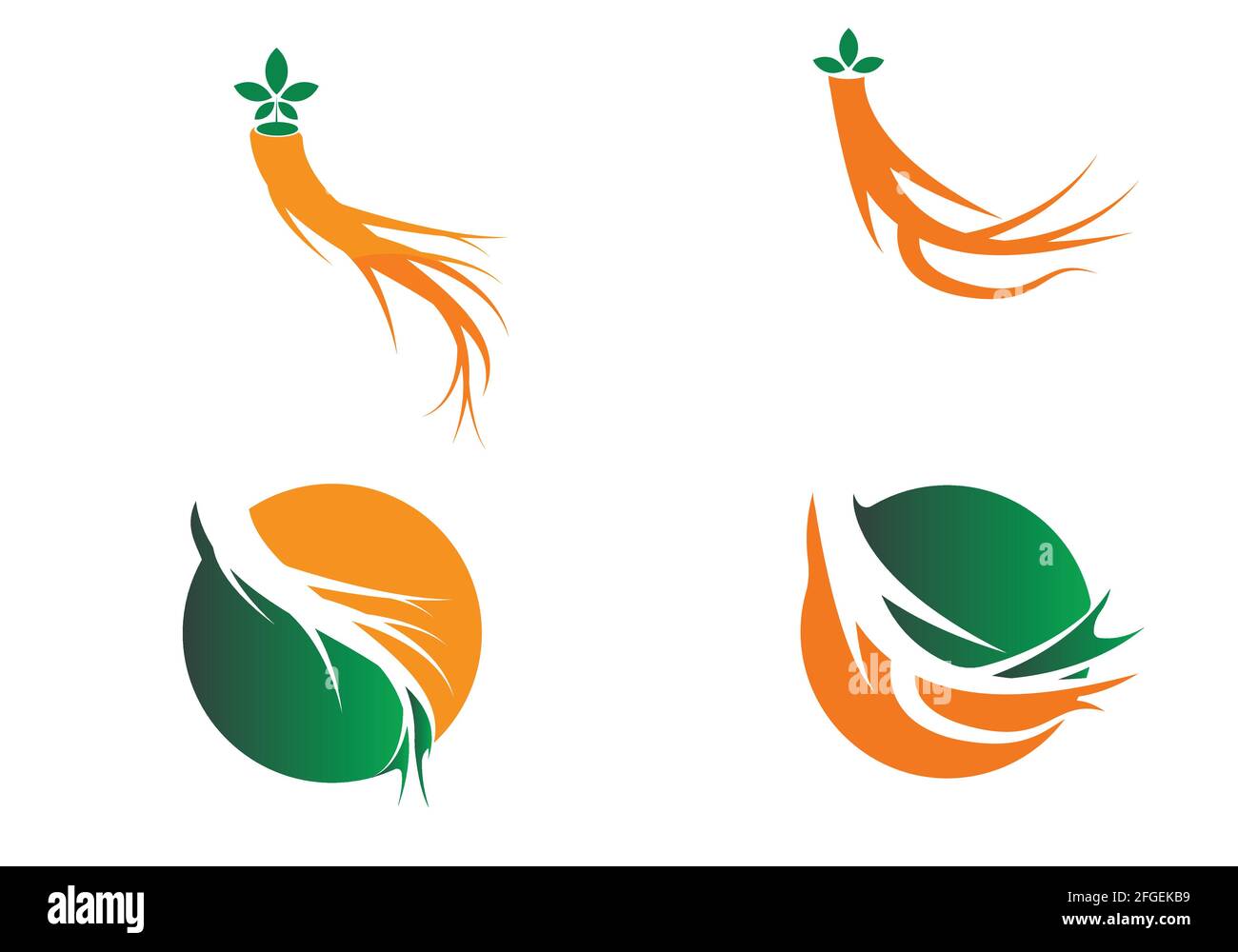 Ginseng design vector icon illustration template Stock Vector Image ...