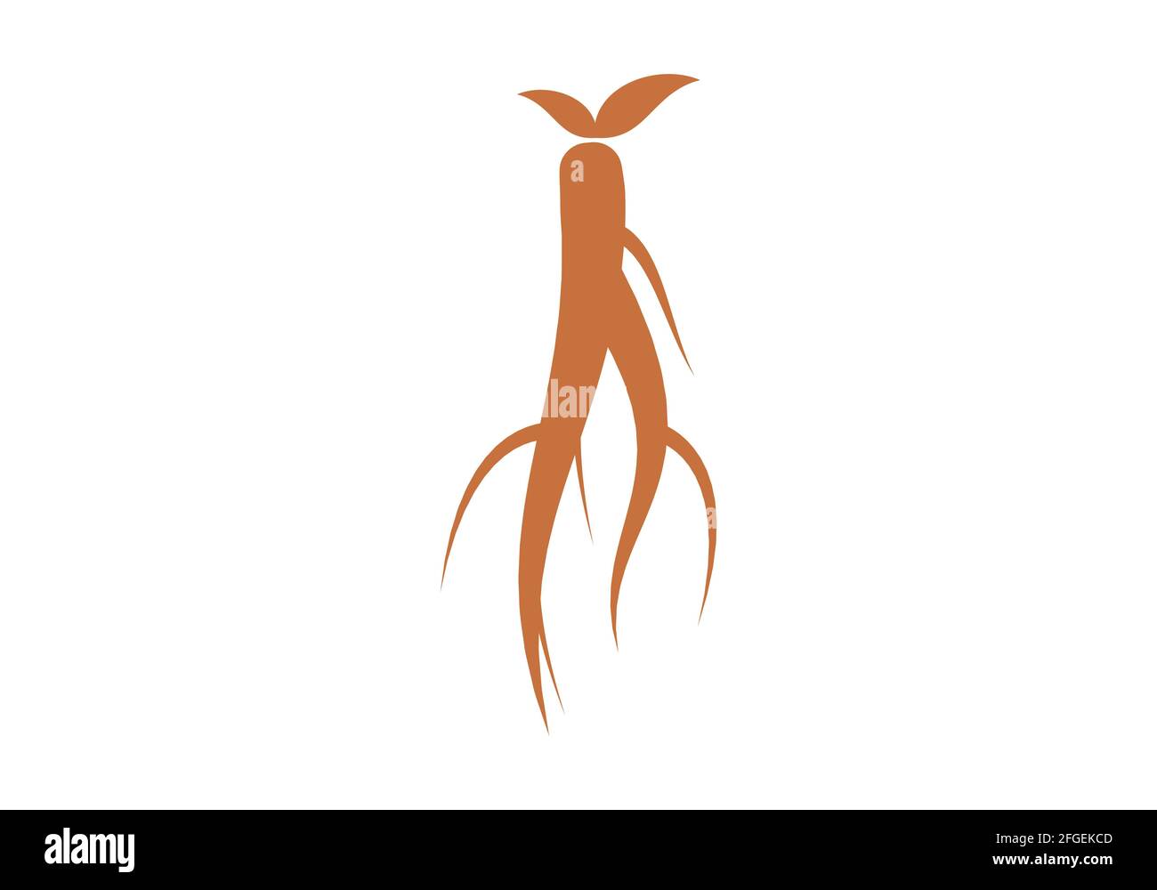 Ginseng design vector icon illustration template Stock Vector Image ...