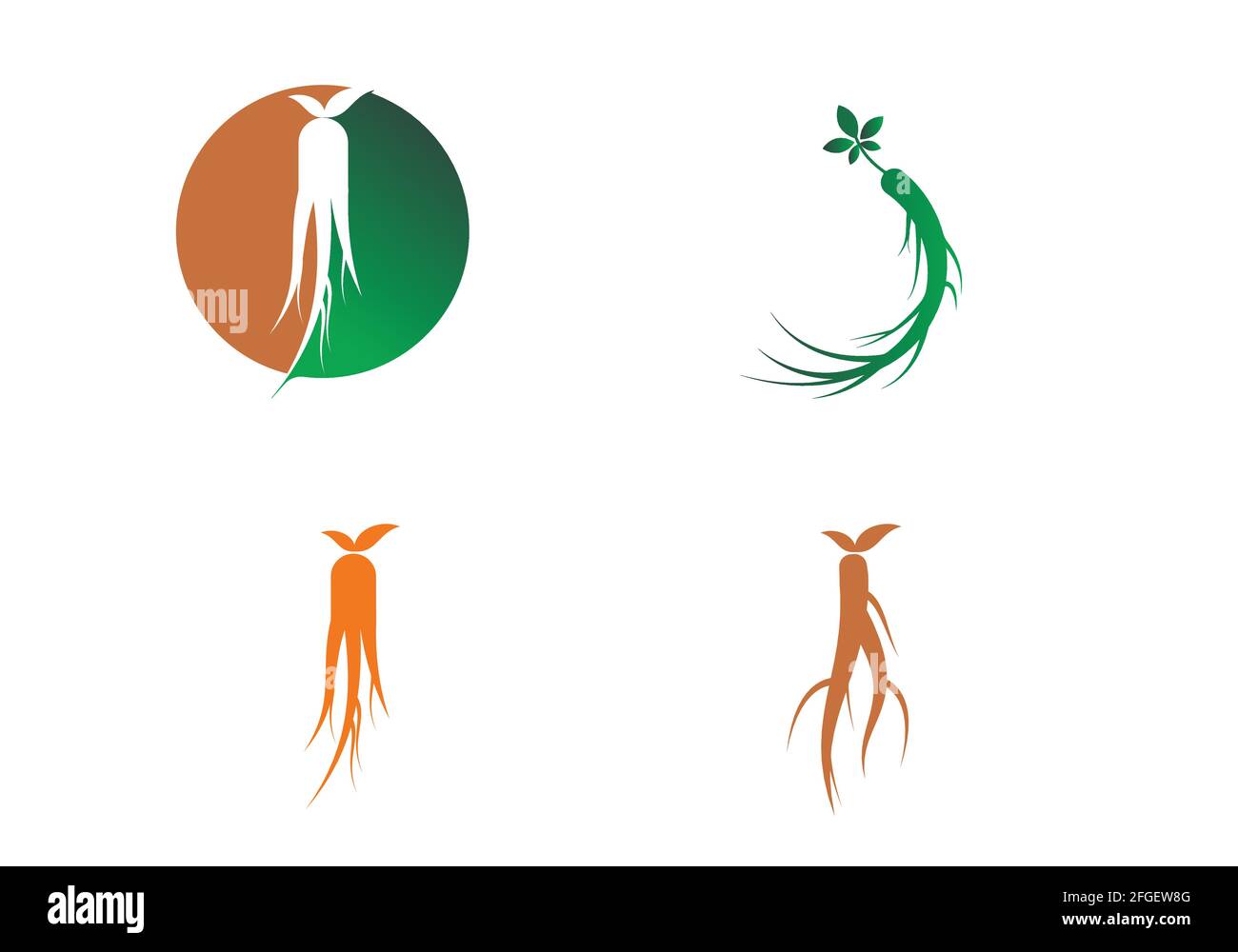 Ginseng design vector icon illustration template Stock Vector Image ...