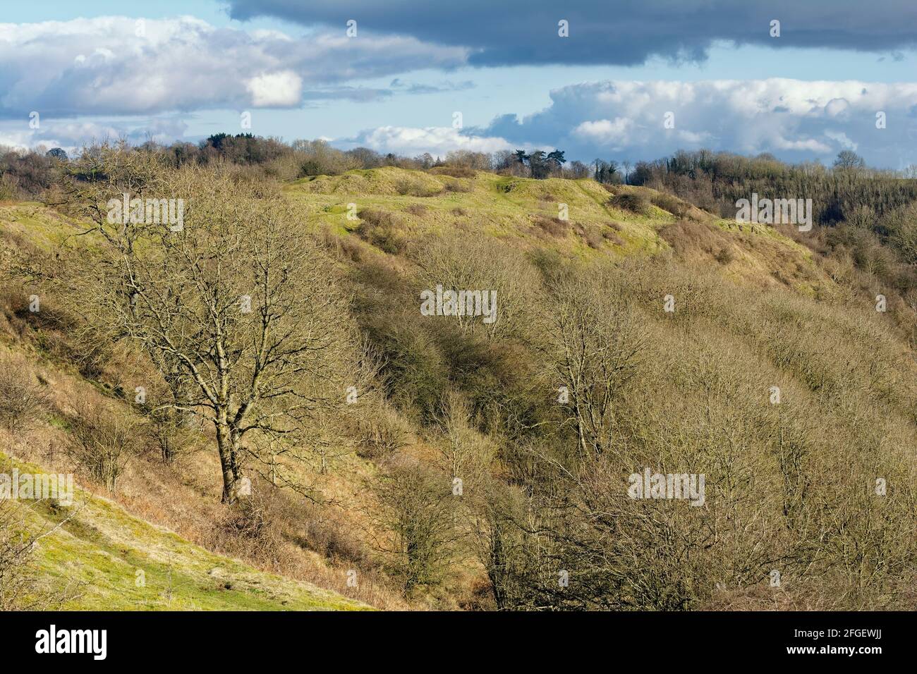 Long cam down hi-res stock photography and images - Alamy