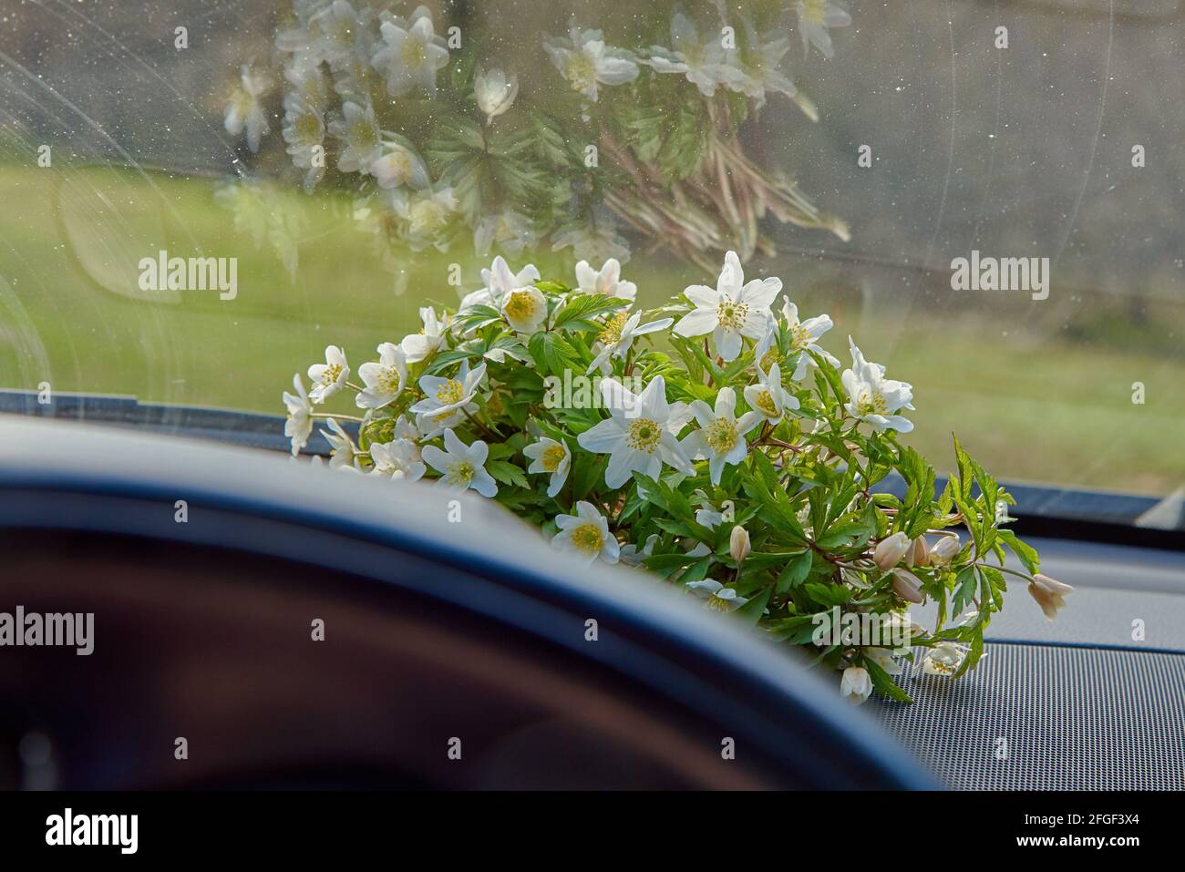 Windshield car flowers hi-res stock photography and images - Alamy