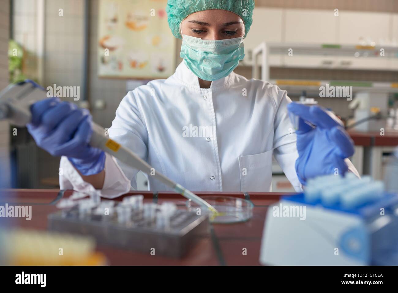 Environmental Scientist Lab