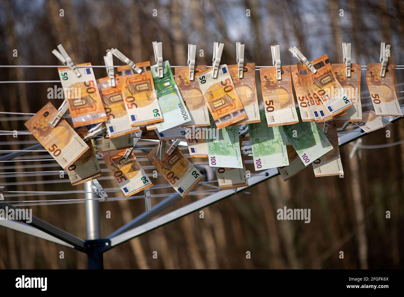 100 and 50 euro banknotes drying. Washed Euro paper bills. Drying euro ...