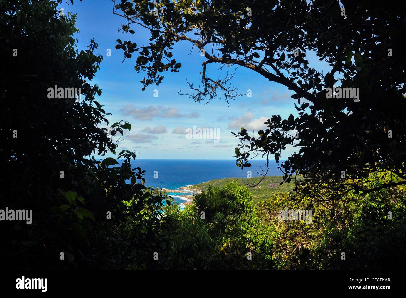 A mesmerizing view of the ocean and the green island gleaming under the ...