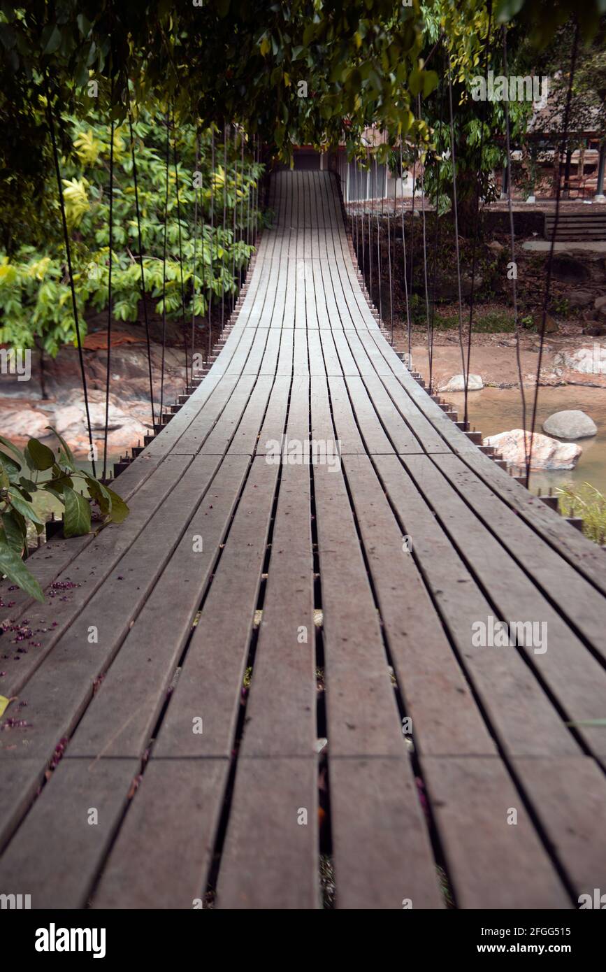 Wooden suspension bridge across the creek an overgrown tree in a park ...