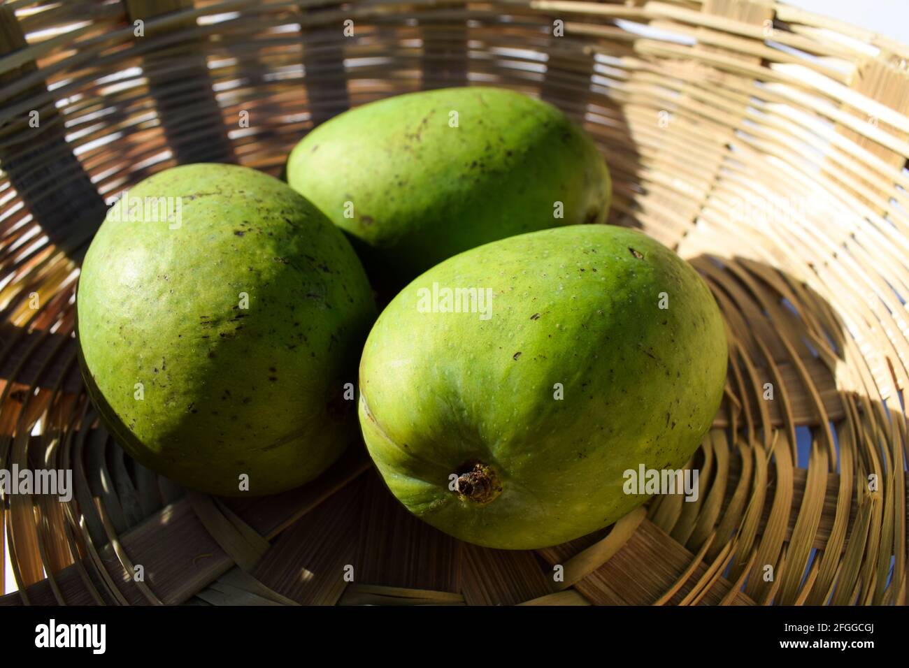 Fresh raw green Mangoes in basket from India Asian. Asian raw unripe ...