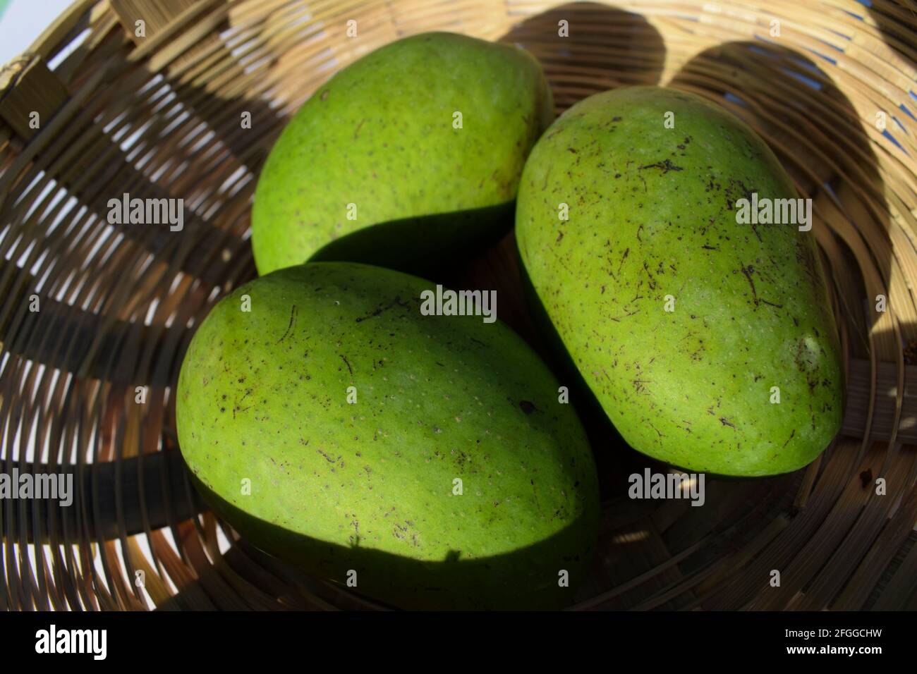 Fresh raw green Mangoes in basket from India Asian. Asian raw unripe ...
