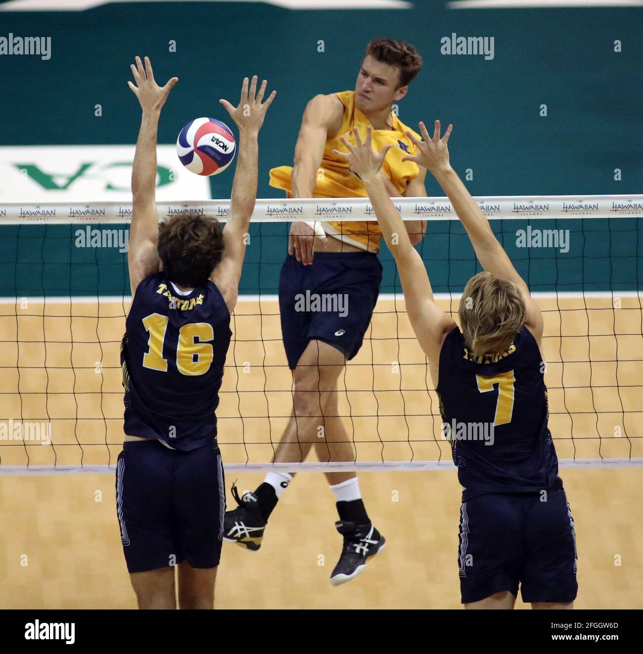 Honolulu, Hawaii, USA. April 24 2021: UC Santa Barbara Gauchos middle blocker Keenan Sanders #5 ...