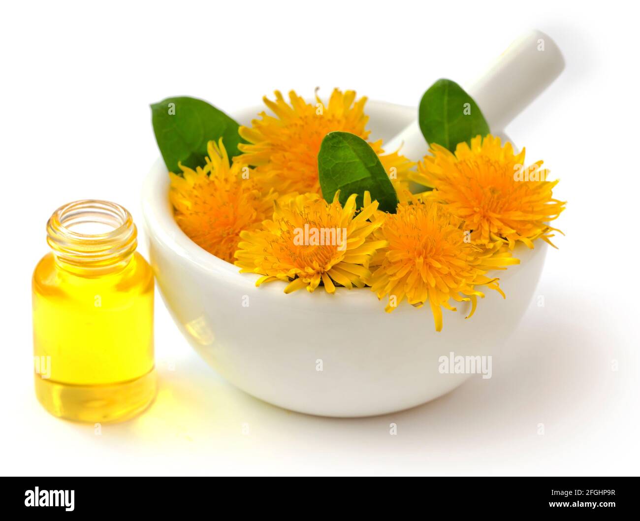 Medicinal dandelion and extract with morter and pestle Stock Photo - Alamy