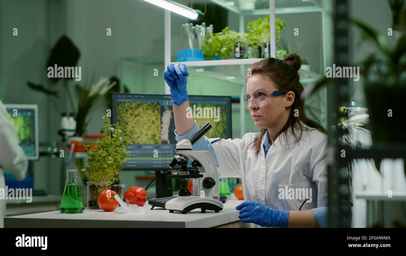Biologist scientist looking at test sample using microscope for ...