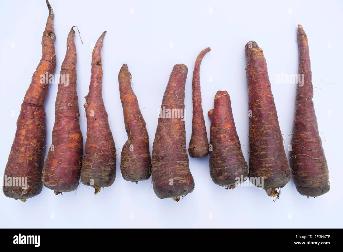 Pakistani carrots hi-res stock photography and images - Alamy