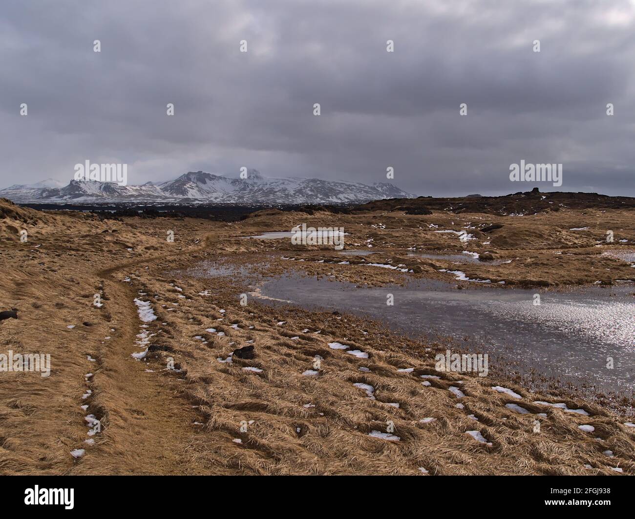 Brown grass hi-res stock photography and images - Alamy