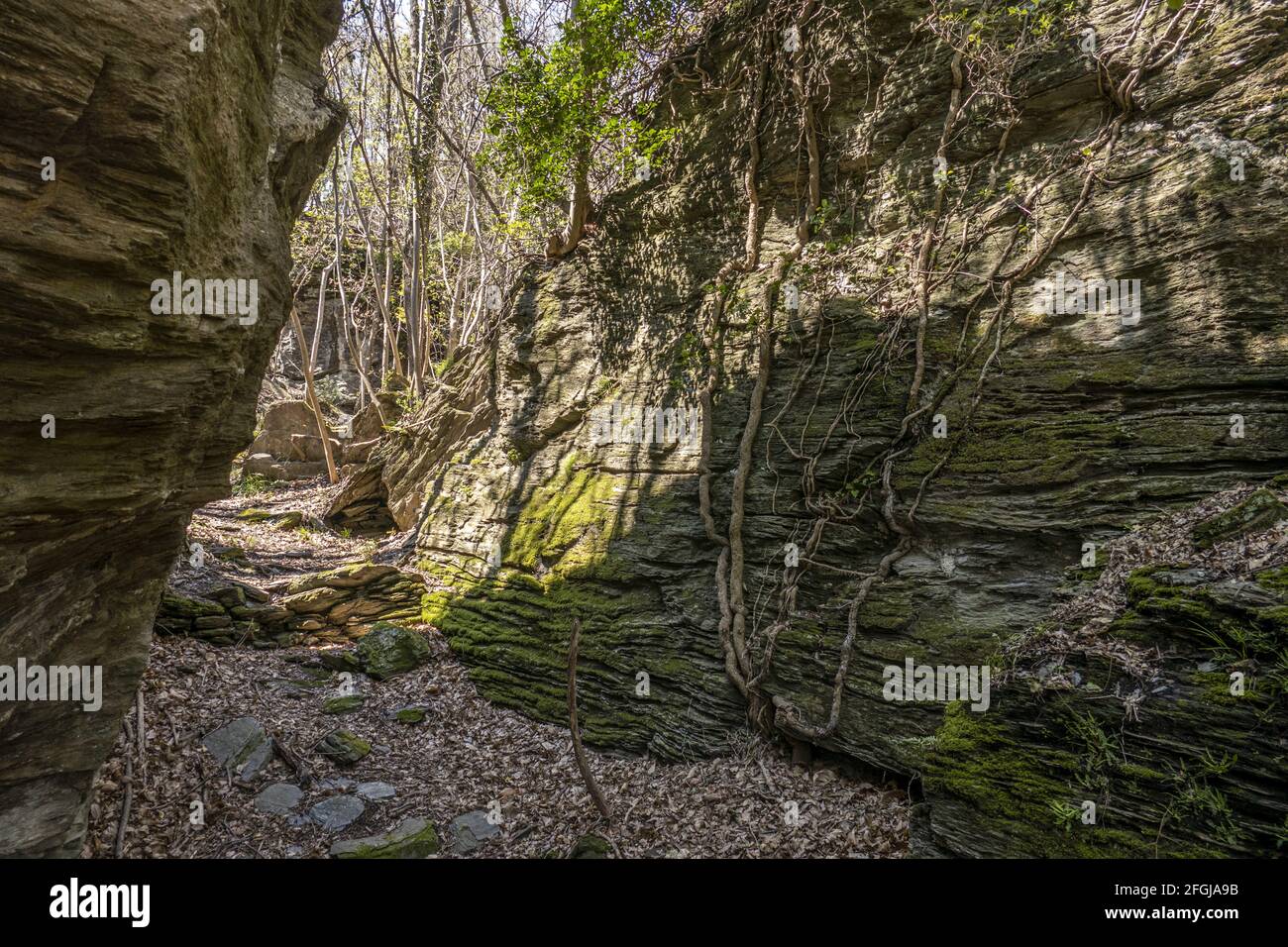 Pathway surrounded rocky cliffs hi-res stock photography and images - Alamy
