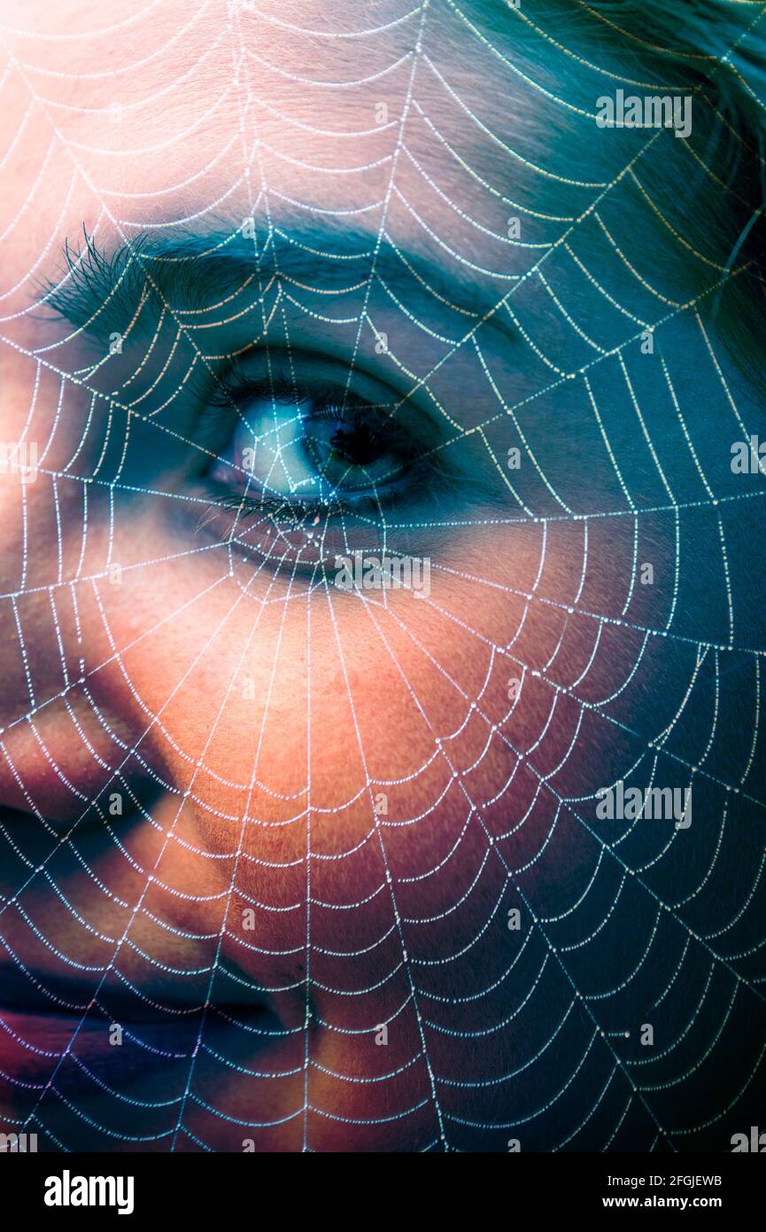 young woman face behind a spiderweb, composite Stock Photo - Alamy