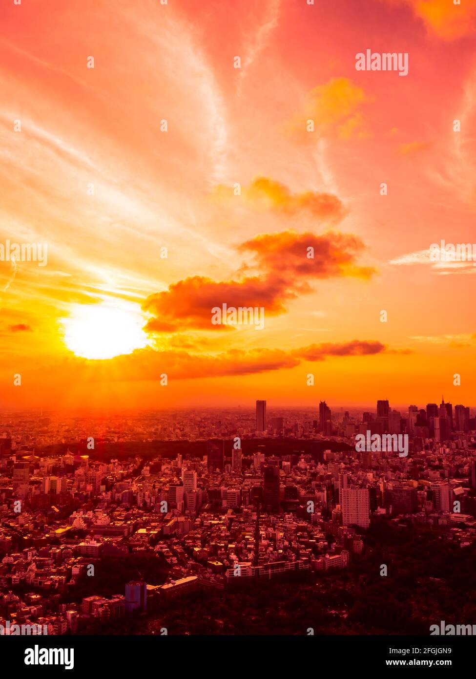 Beautiful Aerial view of architecture and building around tokyo city at ...