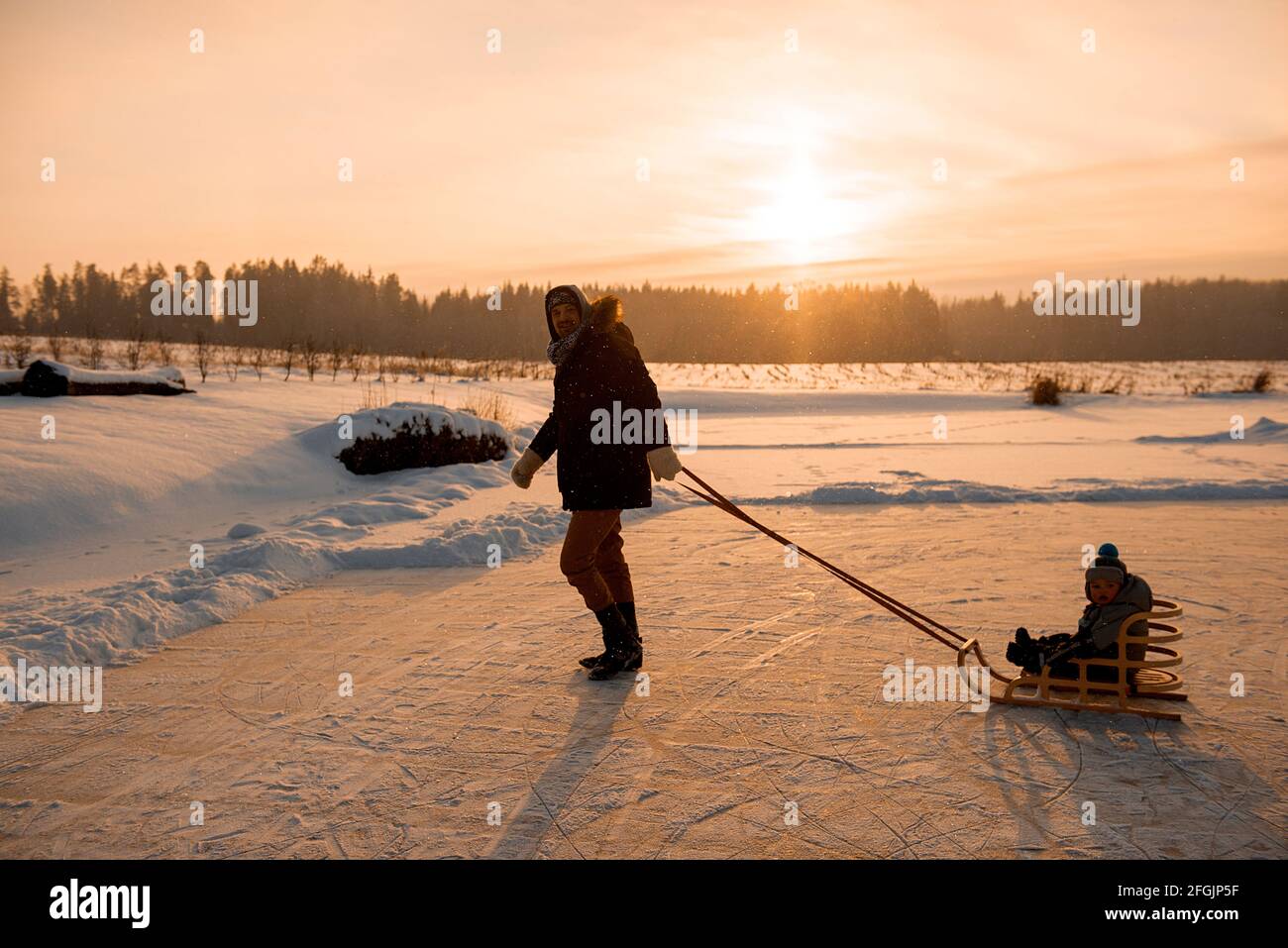 Father is pulling child on sled walking on frosty winter day outdoors ...