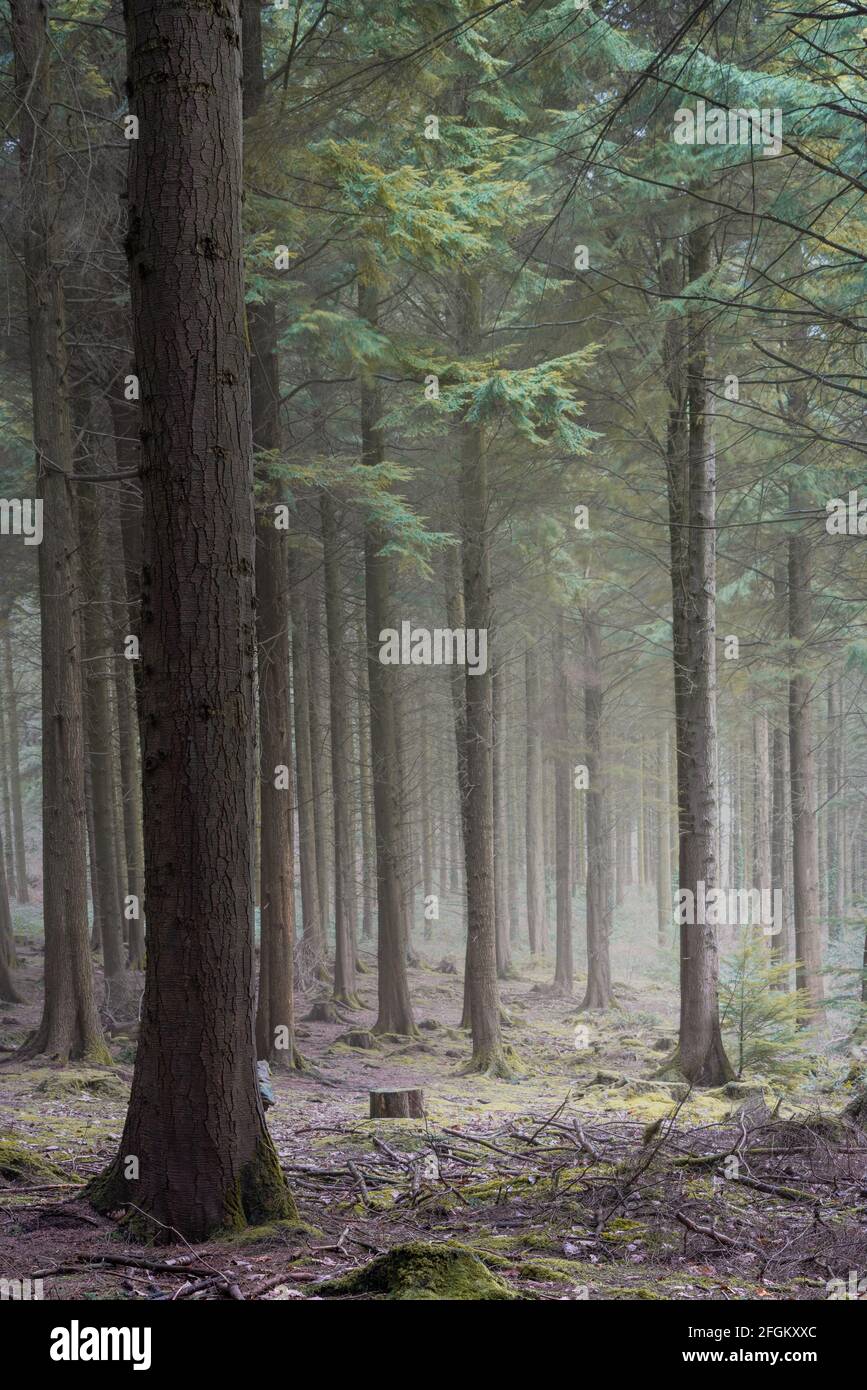 Cornwall mysterious dark hi-res stock photography and images - Alamy