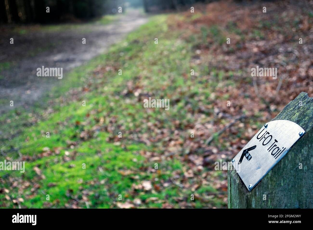 Rendlesham ufo trail hi-res stock photography and images - Alamy