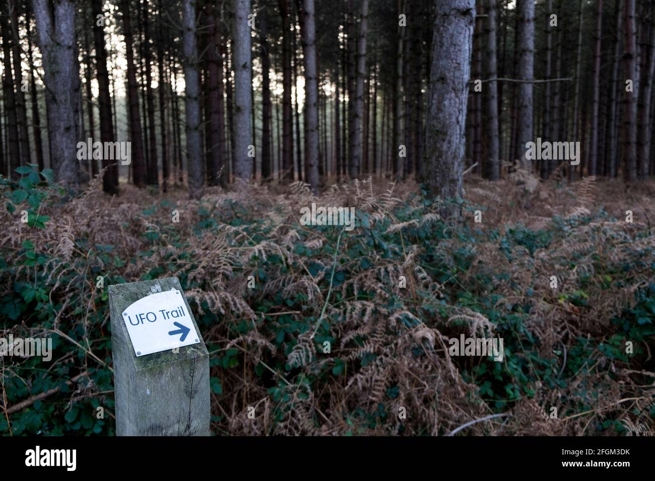 UFO trail sign Rendlesham forest Suffolk UK Stock Photo - Alamy