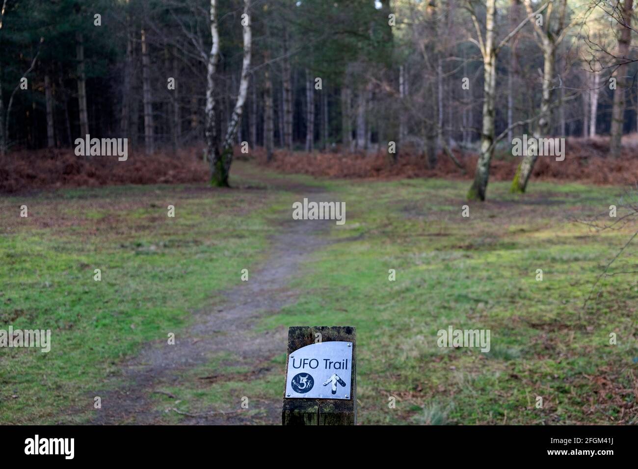 Rendlesham forest ufo hi-res stock photography and images - Alamy